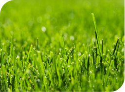 Portable Commercial Air Purifiers, Odorox | The PYURE Company